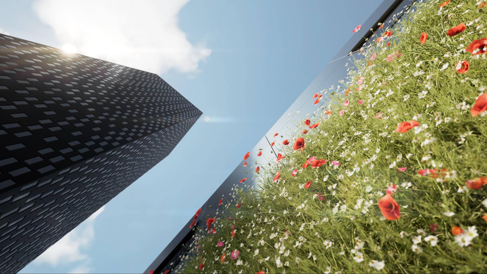 New partnership with Sotech to launch 'Optima Meadow' - Vertical Meadow